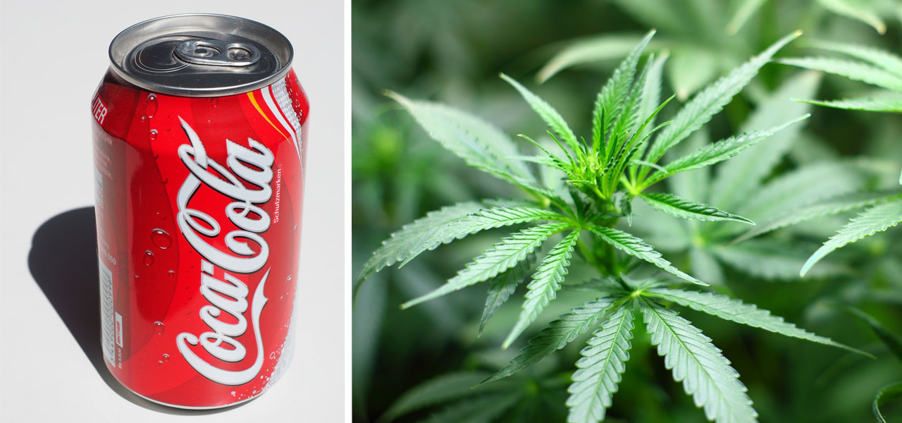 Kein Witz: Coca-Cola will Cannabis-Drinks herstellen - Utopia.de Kein Witz: Coca-Cola will Cannabis-Drinks herstellen - Utopia.de