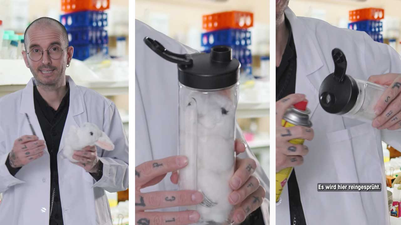 How Does Animal Testing Work Practice With Stuffed Animals Explained how-does-animal-testing-work-practice-with-stuffed-animals-explained