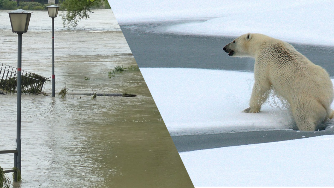 Ursachen des Klimawandels: Diese Faktoren begünstigen die globale Erwärmung - Utopia.de